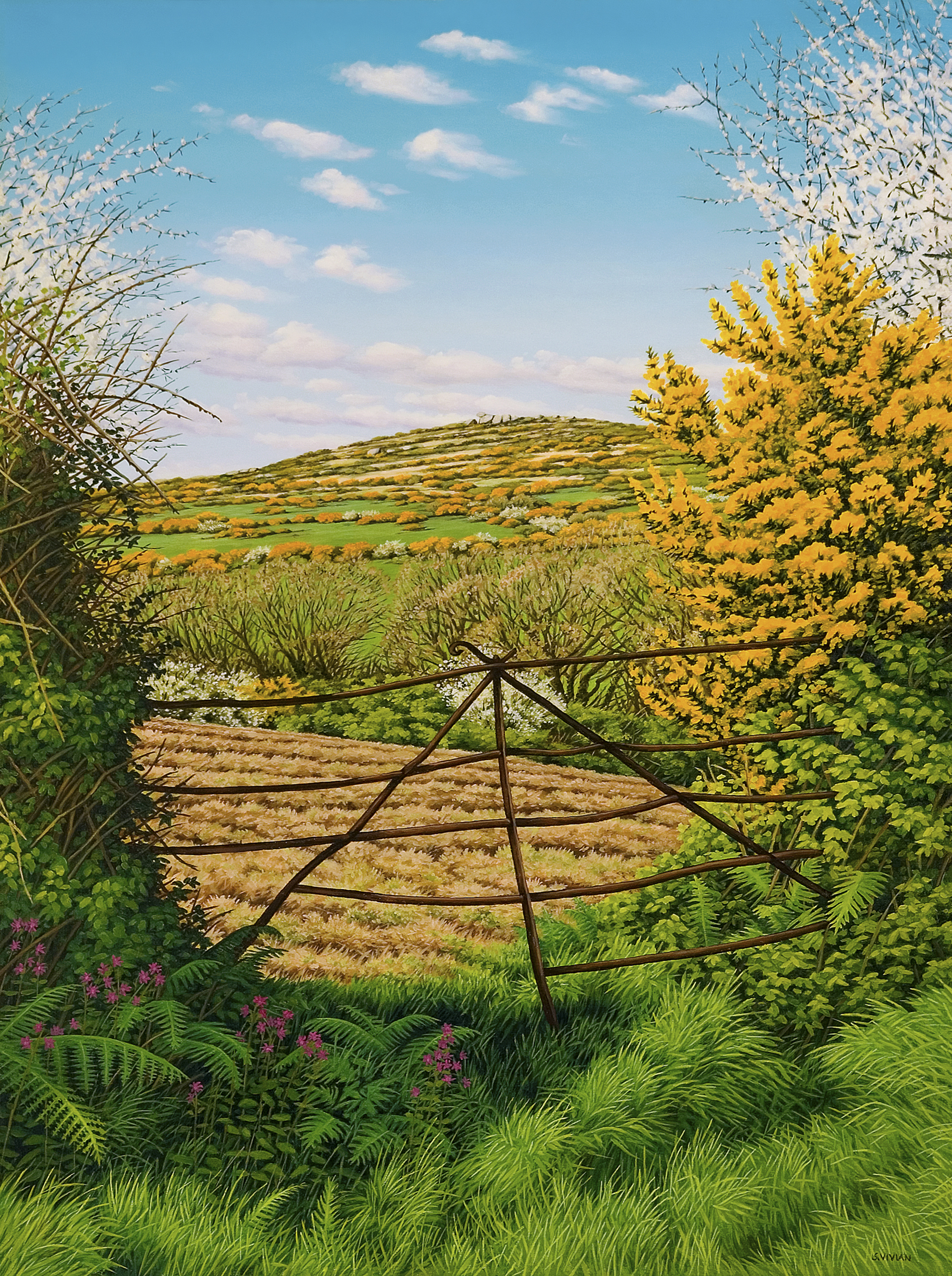40. Cobweb Gate with View to Boswarva Carn, West Penwith - Sarah Vivian