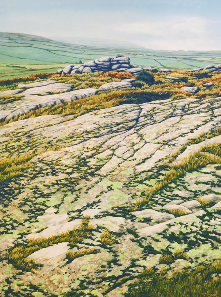 Rock Fields At Trencrom, West Penwith | Sarah Vivian